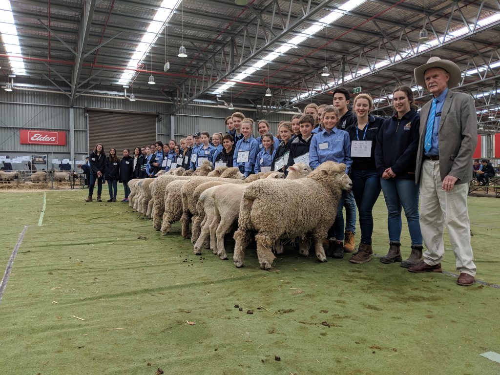 Success for the Young Farmers at the Australian Sheep and Wool Show ...