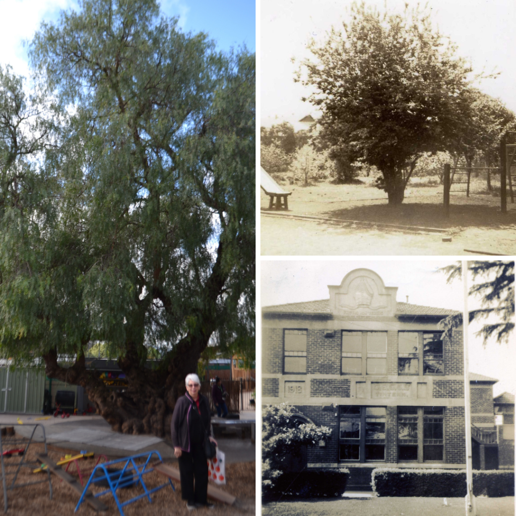 Community | Tintern Grammar